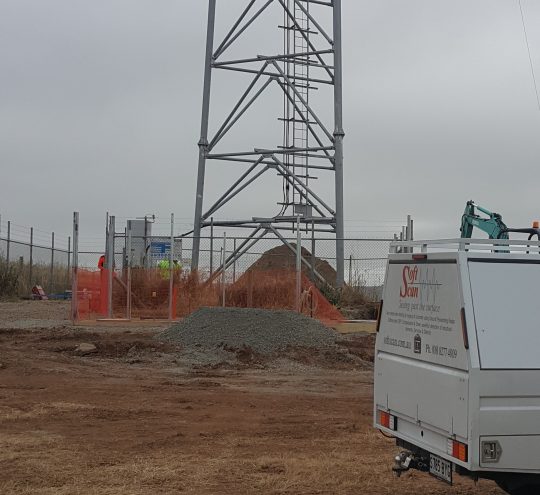 GALLERY – Soft Scan